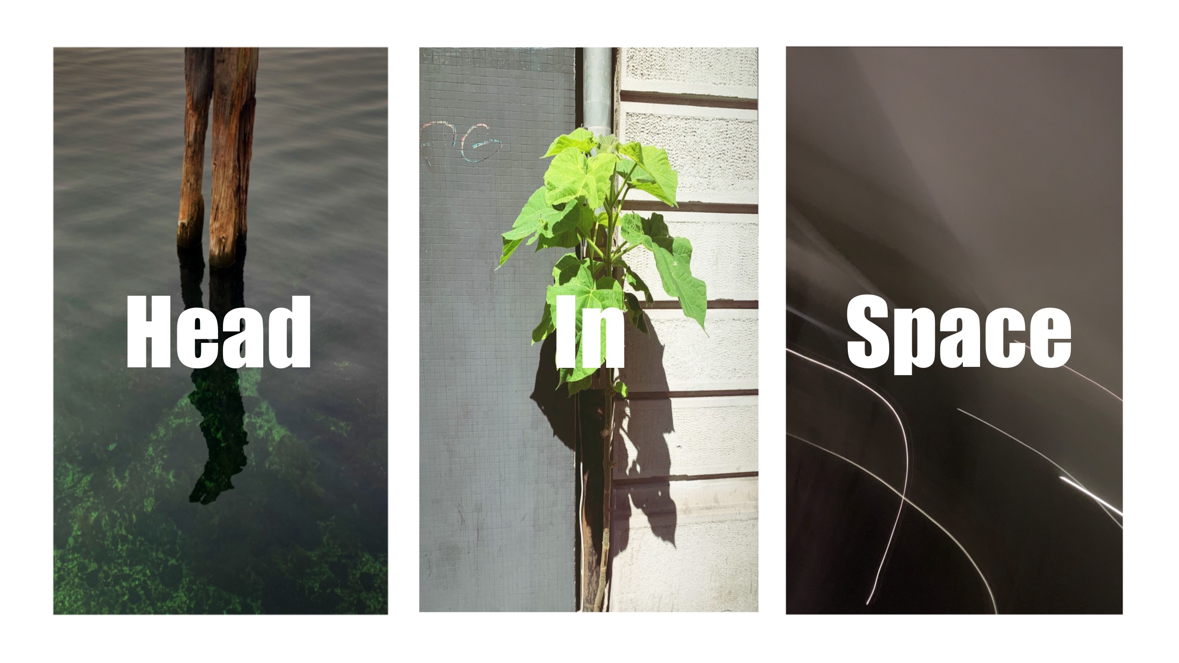 Digezz | Das Magazin des Studiengangs “Multimedia Production” der ...