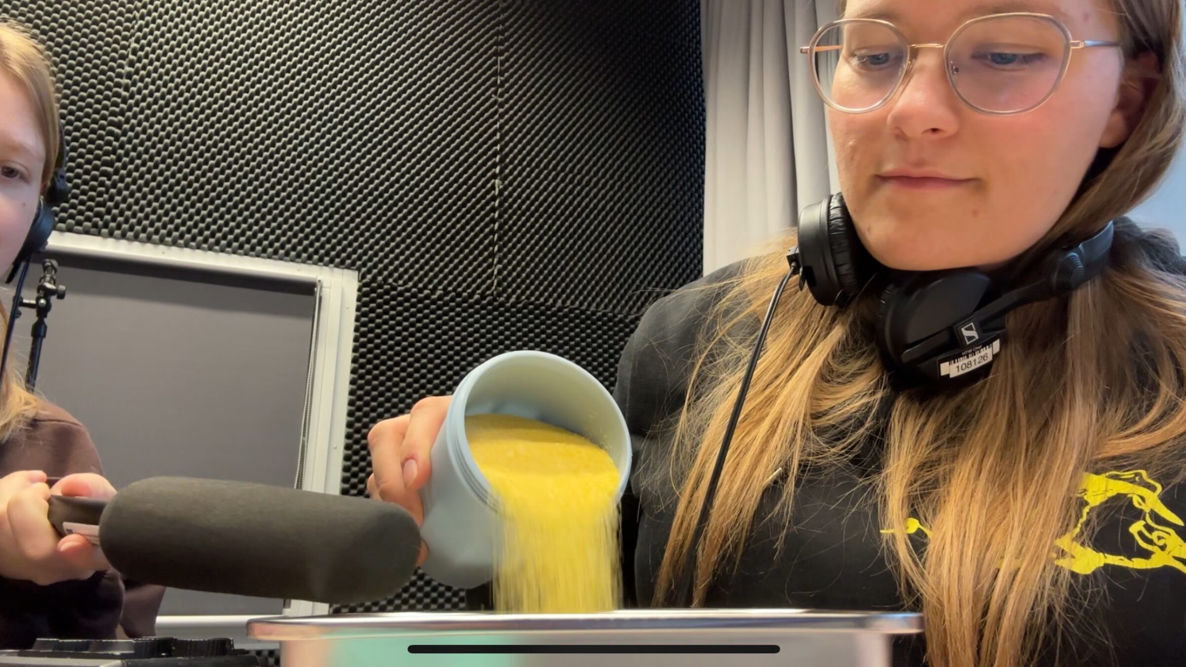 Foley – das Vertonen eines Cartoons | Digezz